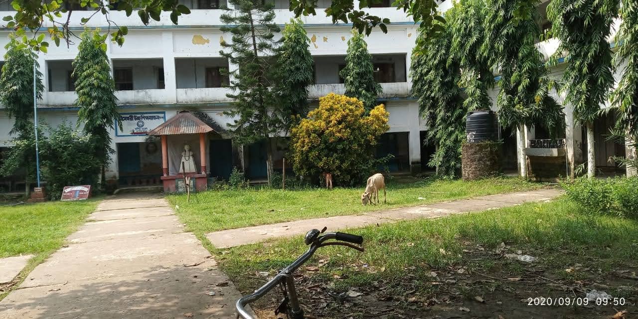 Portfolio | Laxman Rana